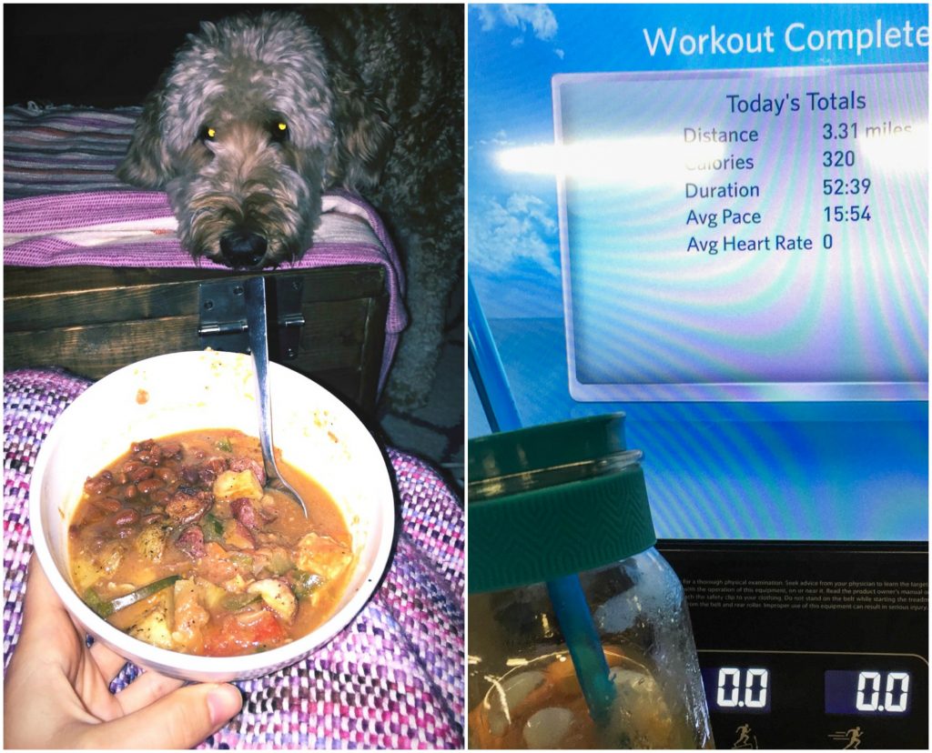 Puppachinos, Protein Balls, Treadmill Walks & A Getaway!