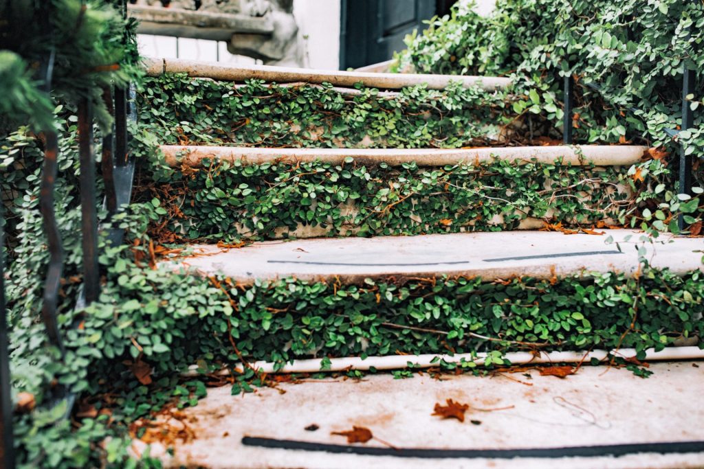 Visiting Savannah Georgia in the Winter | Staying at the Ballastone Inn
