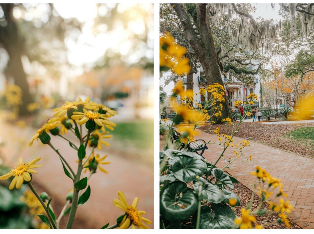 Visiting Savannah Georgia in the Winter | Staying at the Ballastone Inn