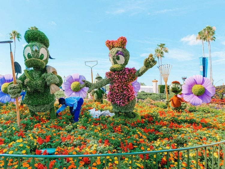 Disney World Travel Blog: Epcot's Flower & Garden Festival