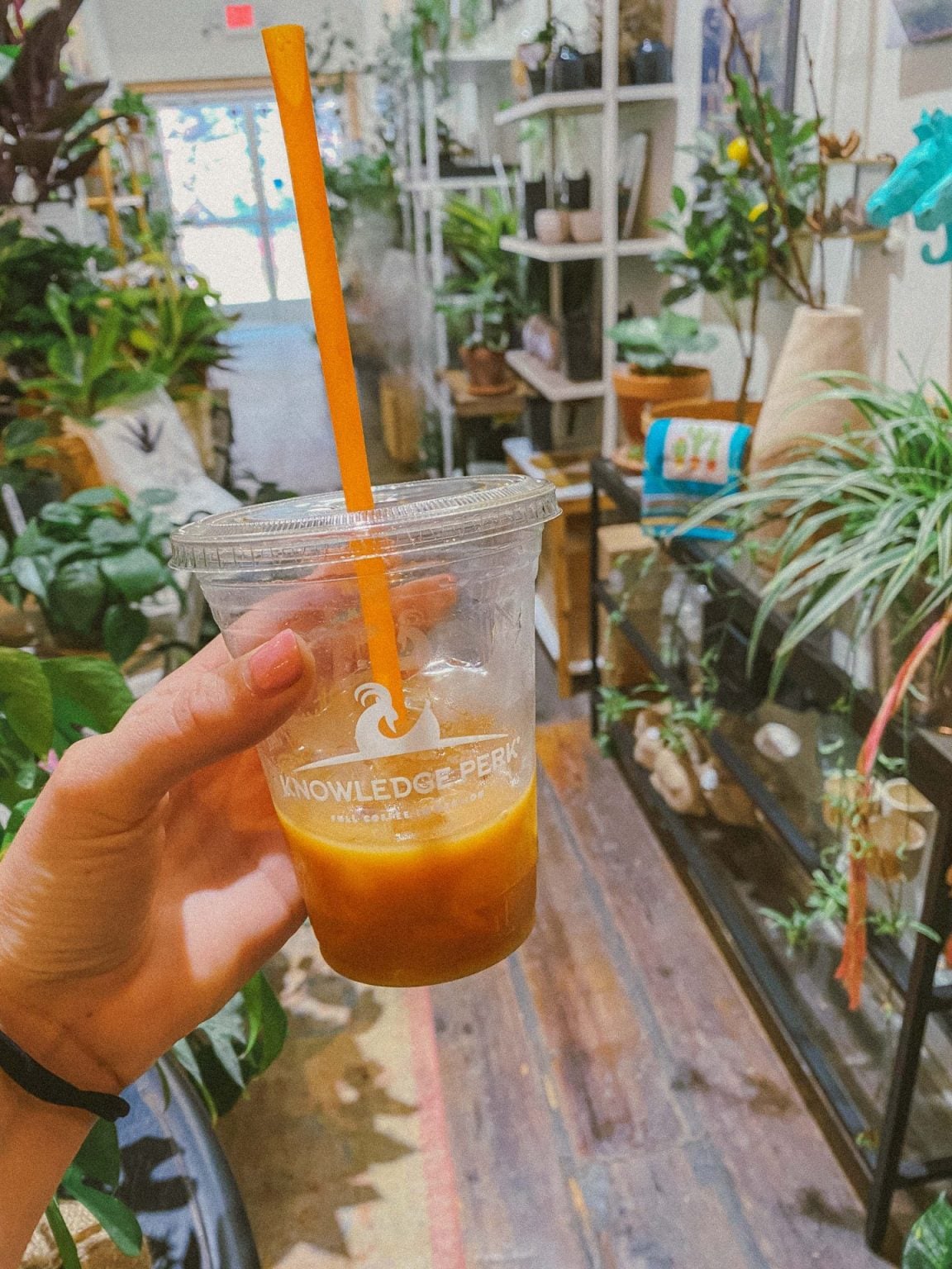 Hanging out with friends, doggy snuggles, & local coffee shops!
