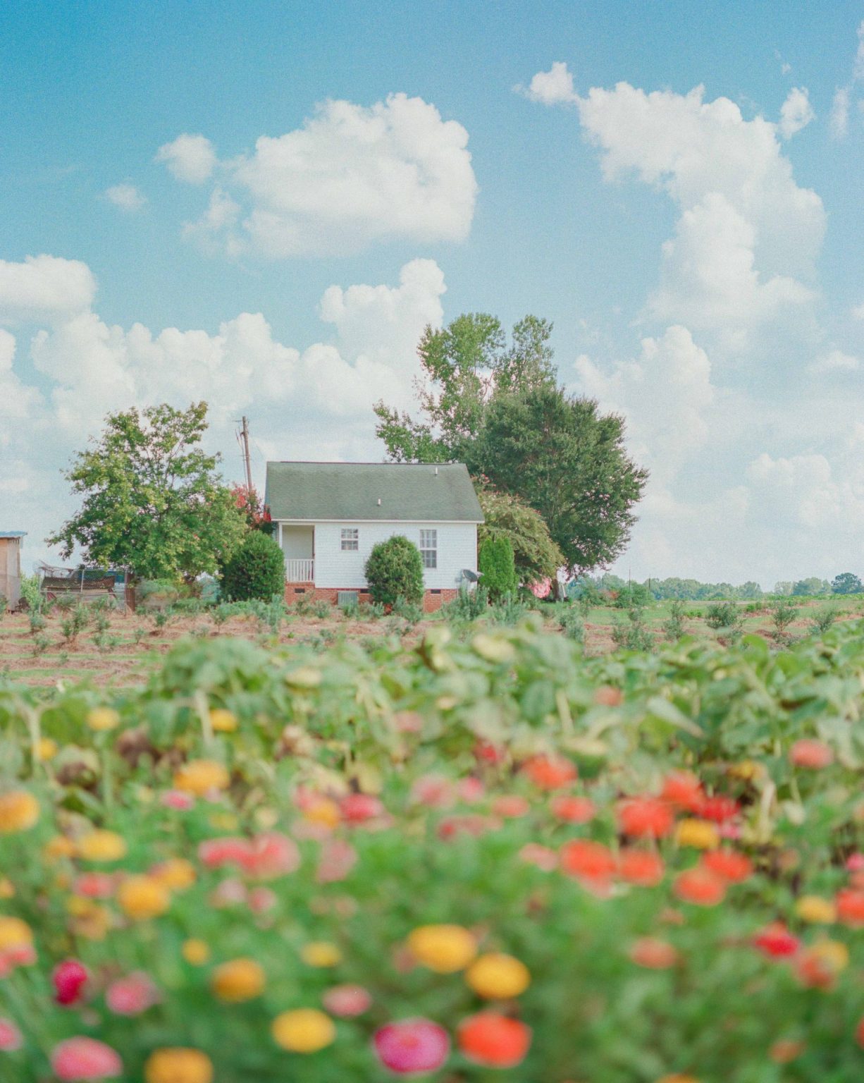 Comparing my cameras and testing my new film camera