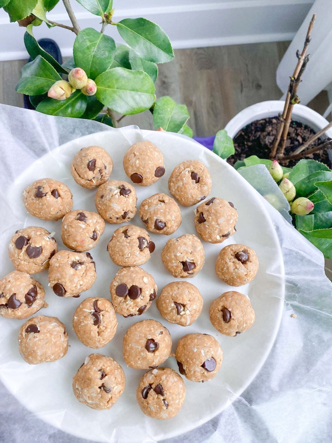 Peanut Butter Chocolate Chip Protein Balls | Vegan & Gluten-Free
