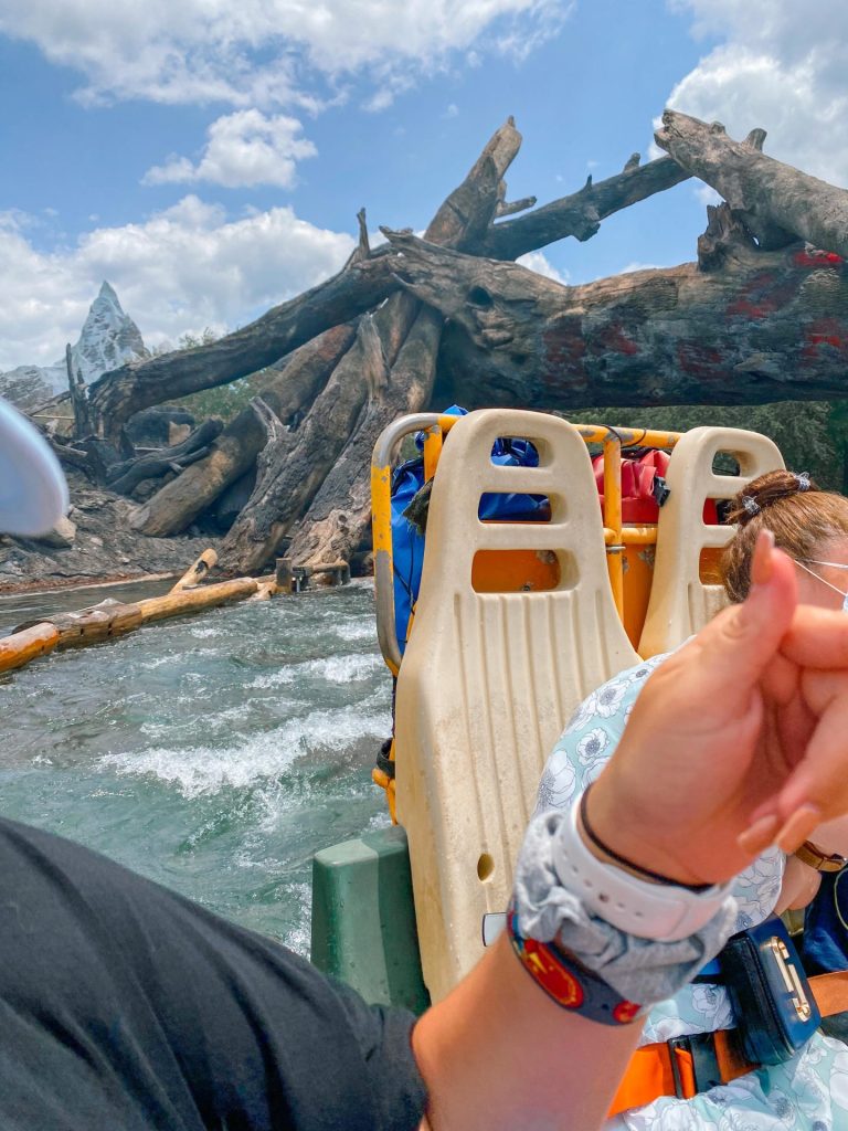 Ultimate Day at The Animal Kingdom | Disney Travel Blog