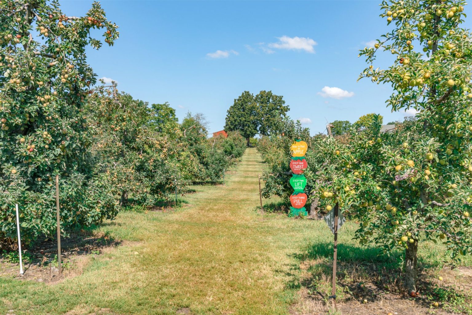 Visiting Local Farms to Kick Off the Fall Season - Simply Taralynn ...