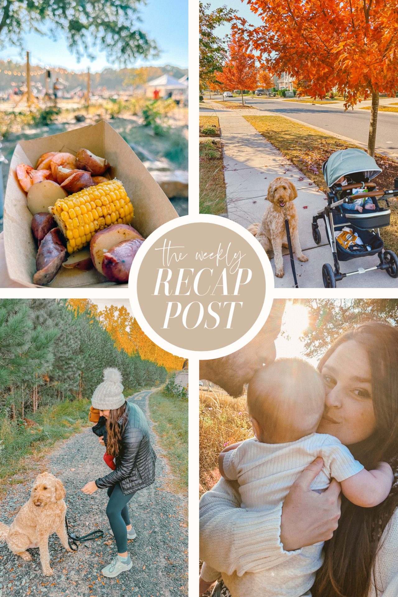 Solo parenting for a week, all the fall vibes, boil & brew fest ...