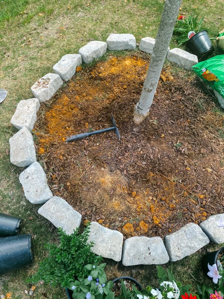 Gardening Project | Flower Border Around The Backyard Trees