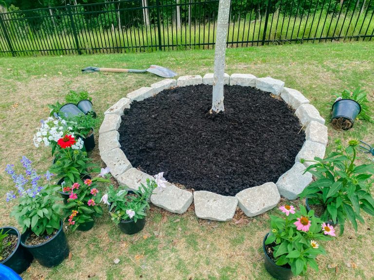 Gardening Project | Flower Border Around The Backyard Trees