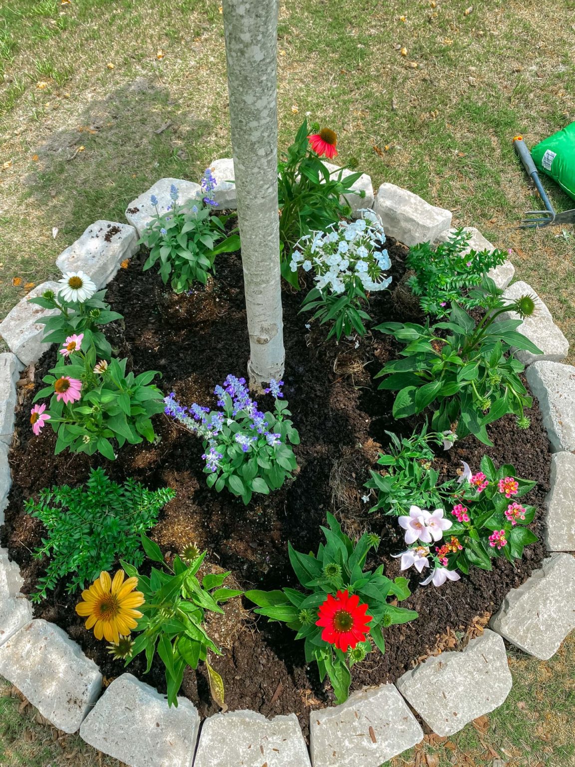 Gardening Project | Flower Border Around The Backyard Trees