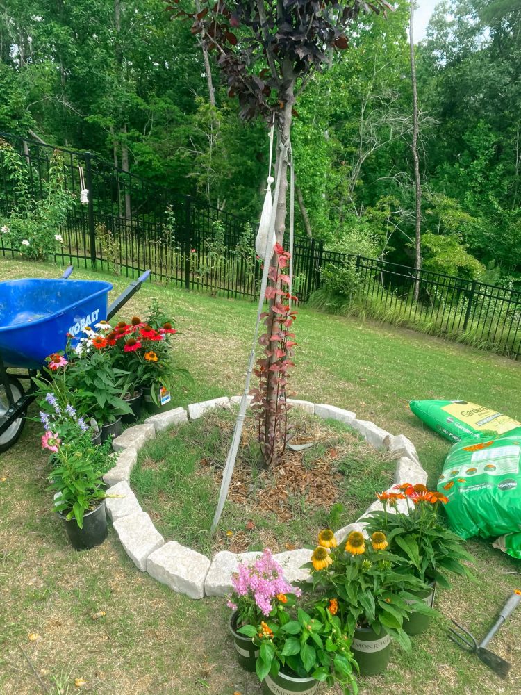 Gardening Project | Flower Border Around The Backyard Trees