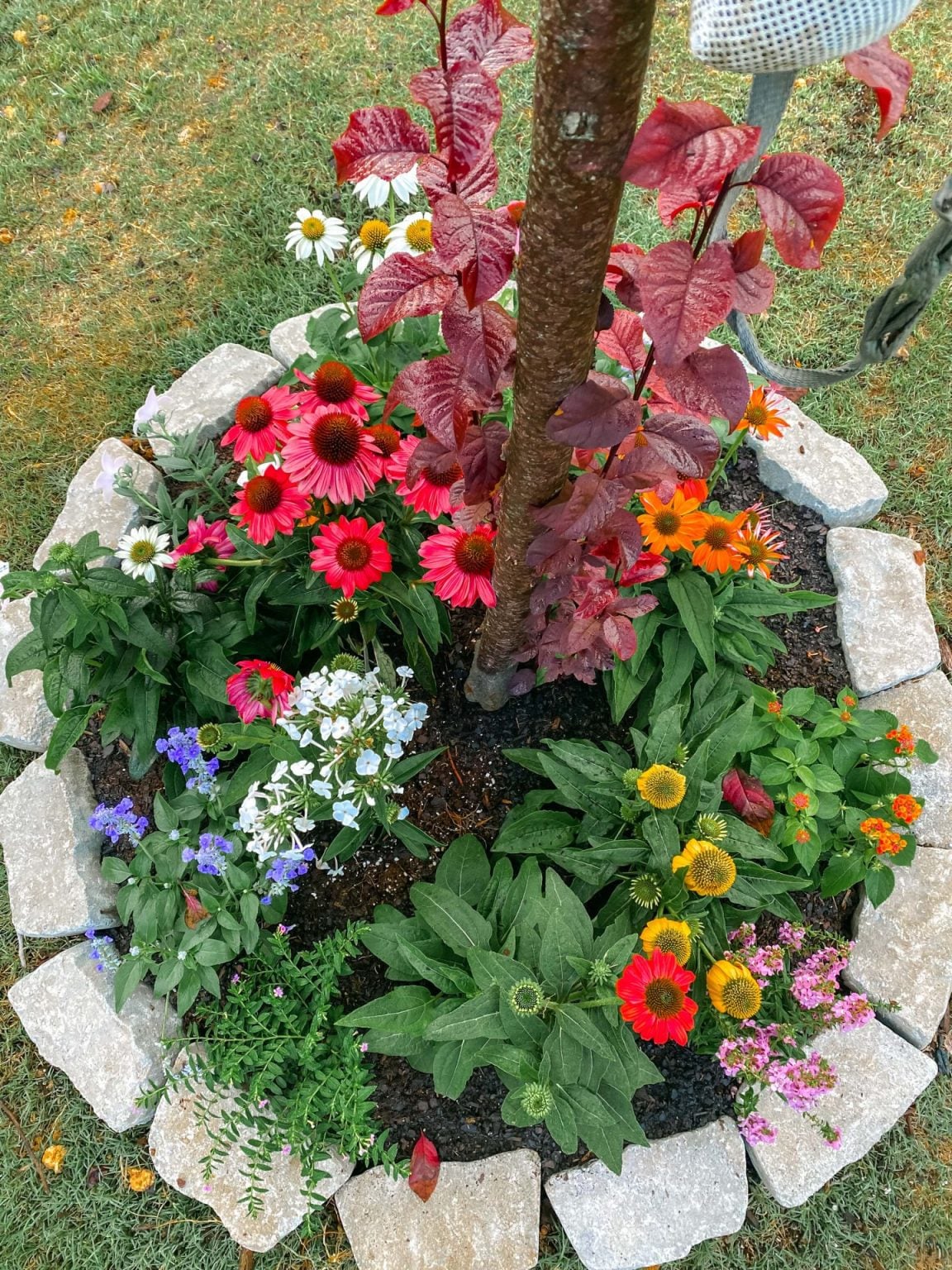 Gardening Project | Flower Border Around The Backyard Trees - Simply ...