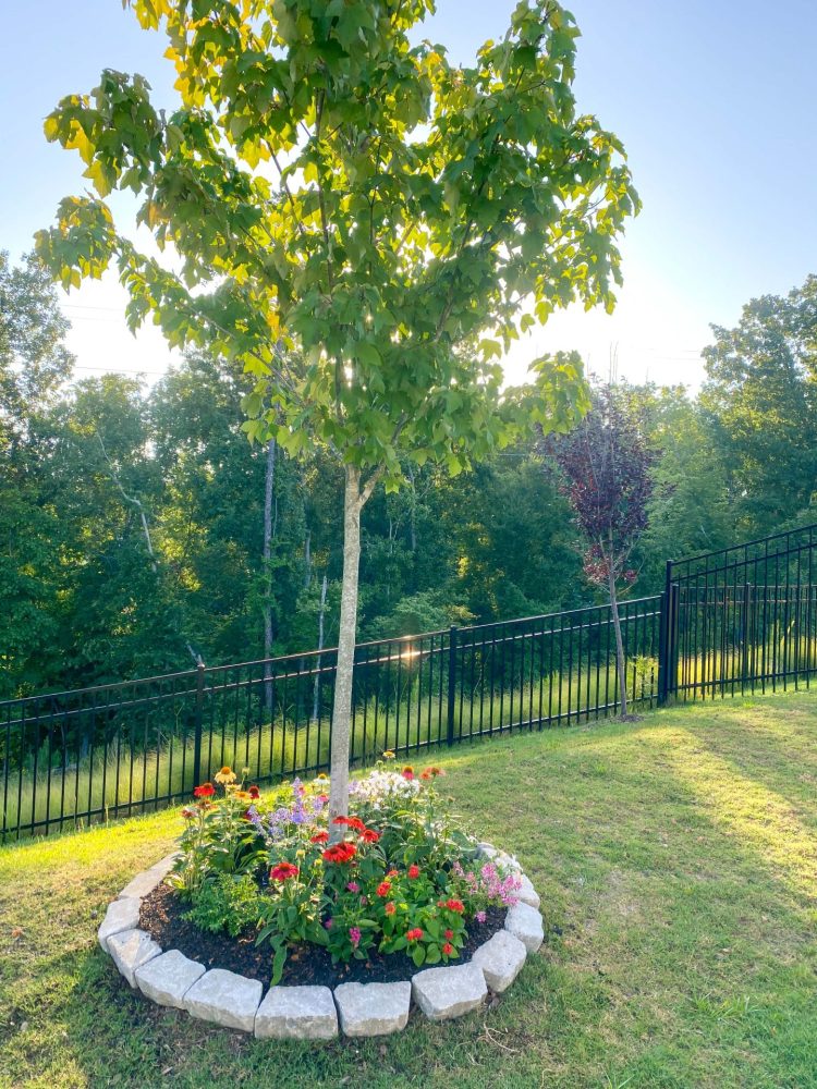Gardening Project | Flower Border Around The Backyard Trees - Simply ...