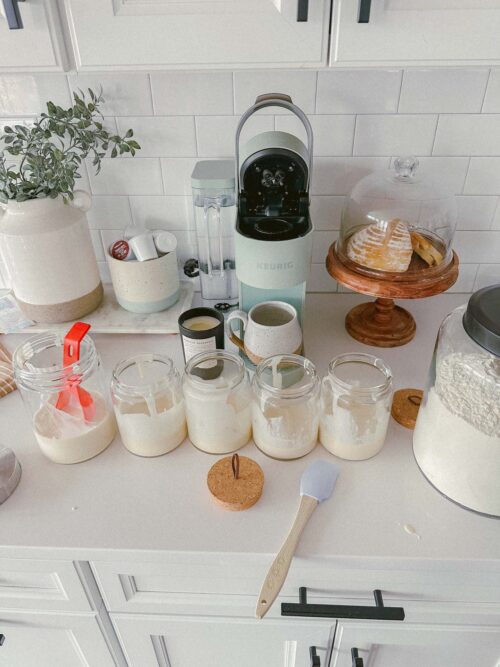 Meals This Week, Coffee Dates, Garden Boxes & Workouts!