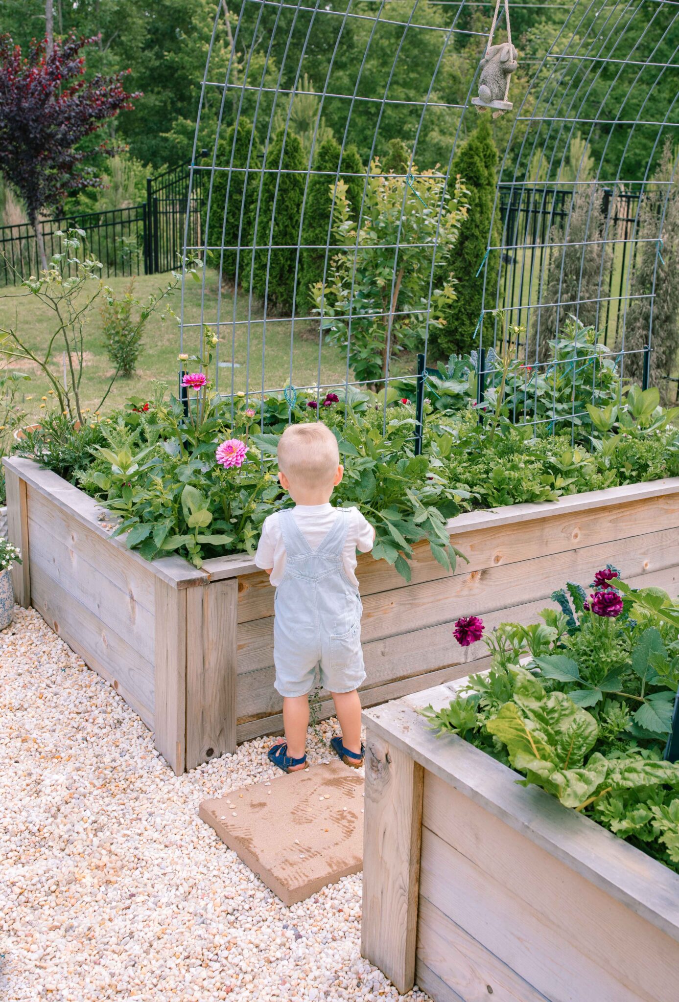 What I planted in my spring garden beds