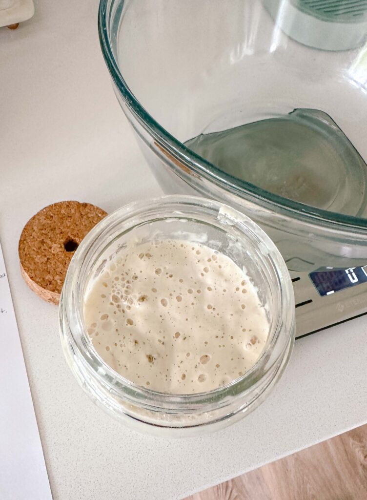 Where Can I Get Sourdough Starter From? + Make it Yourself!