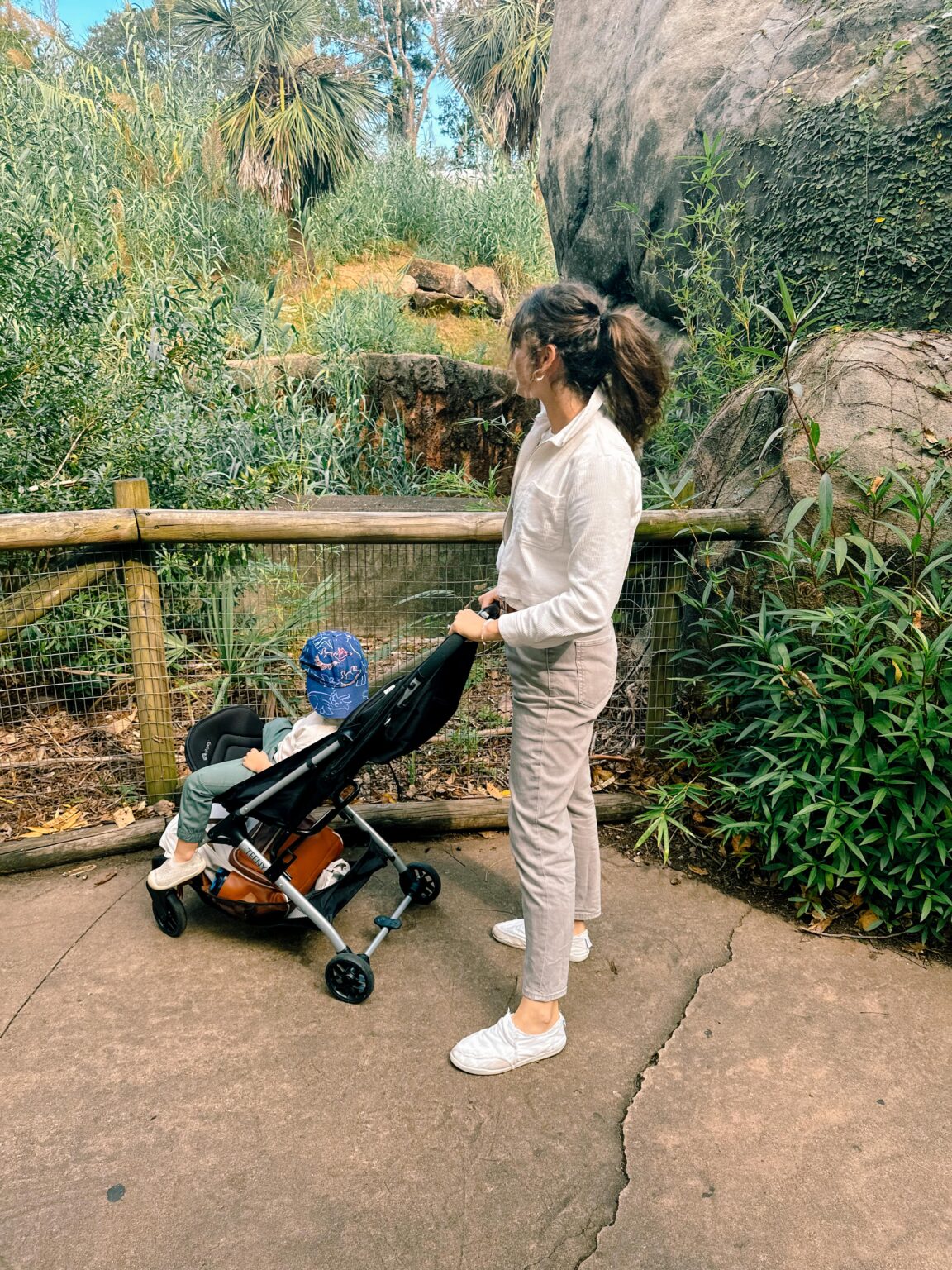 More Fall Farms, Food from the Week, The Zoo, & Mom Life
