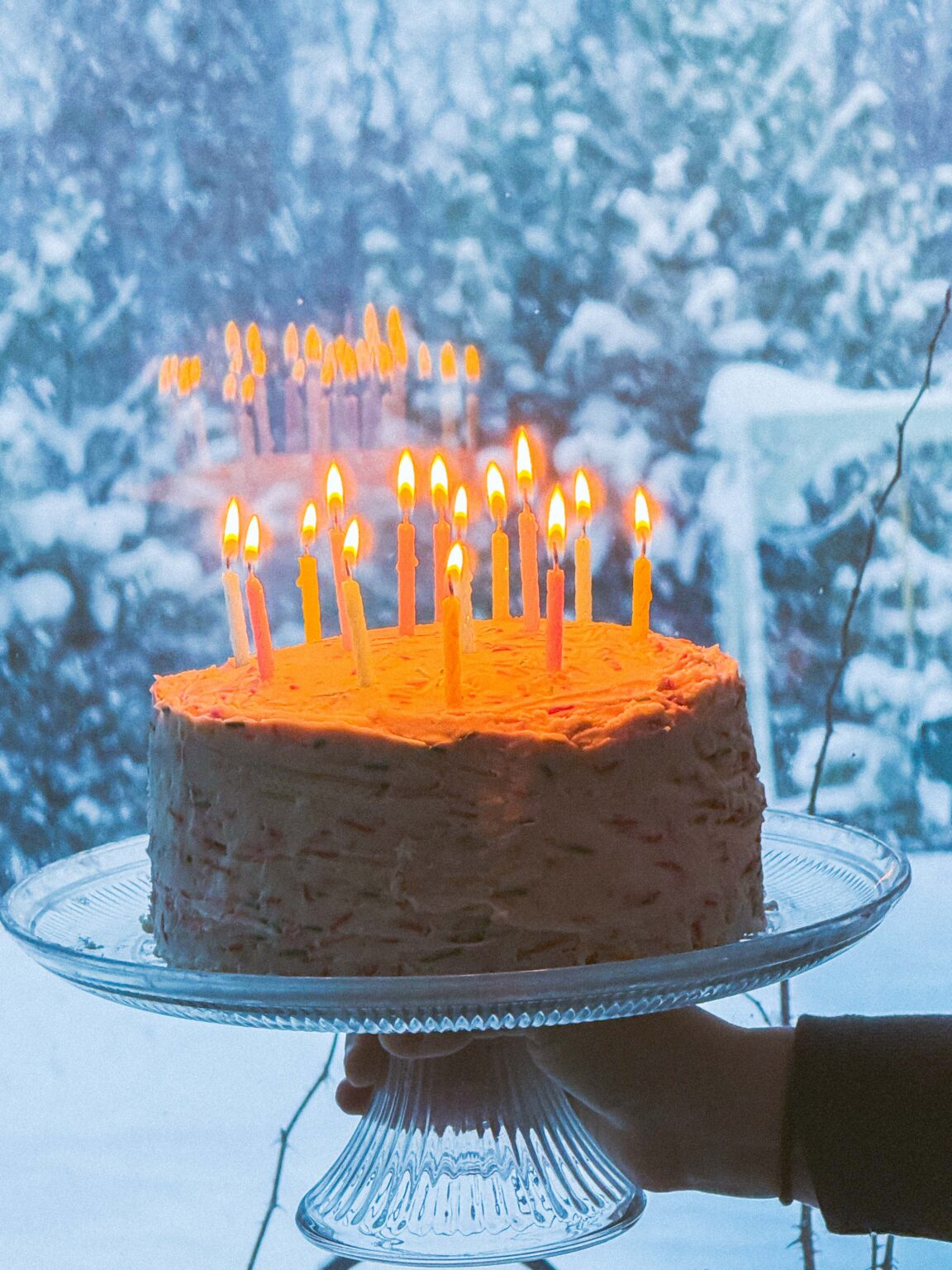 Recap: My Birthday, Baby Countdown, & Snowfall